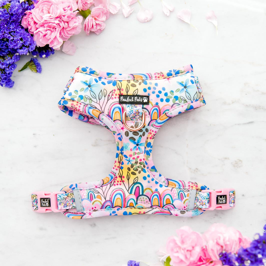 Got it Glowing On - Boho Vibes No-Pull Harness | Pawfect Pals
