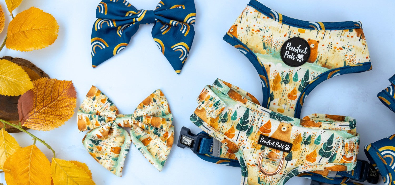 Wild at Heart | Dog Accessories | Pawfect Pals | Afterpay