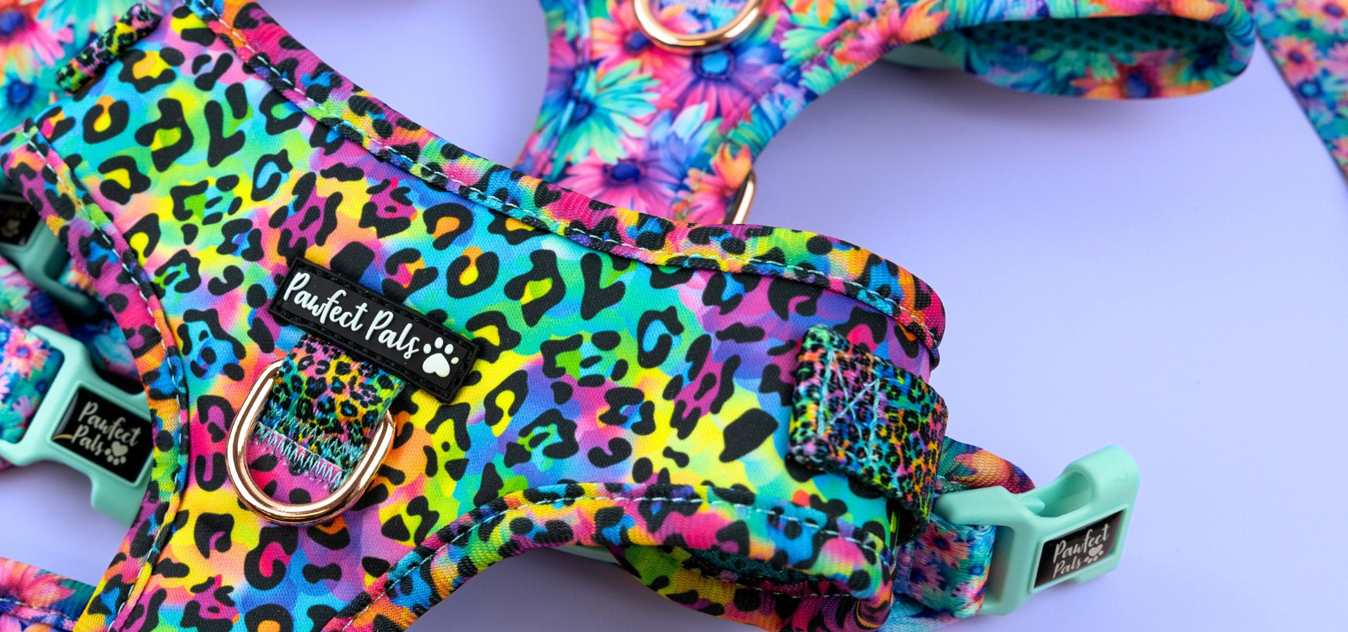 Wild Rainbow | Pawfect Pals | Afterpay Available