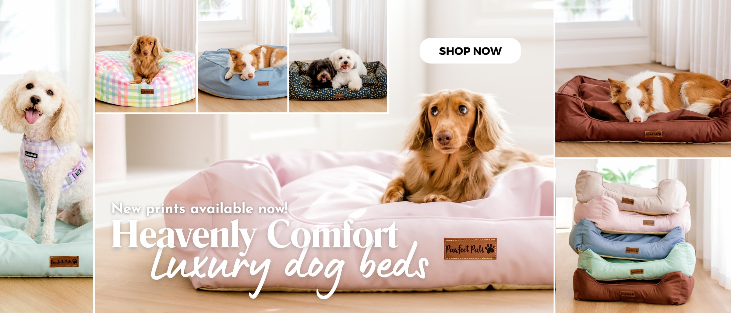 Luxurious and Affordable Dog Accessories | Pawfect Pals