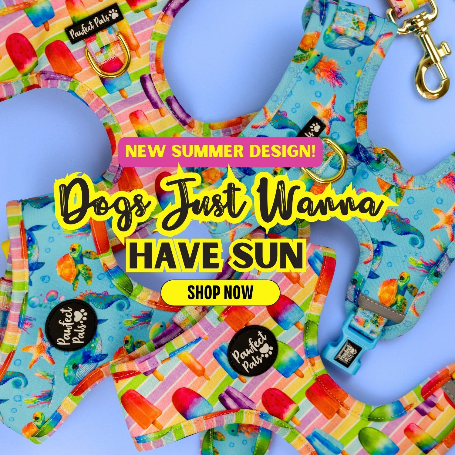 Luxurious and Affordable Dog Accessories | Pawfect Pals