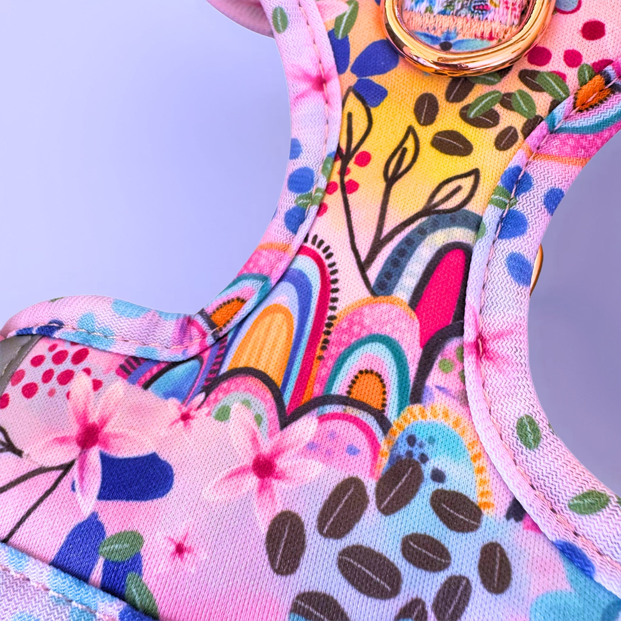 Got it Glowing On - Personalised Adjustable Harness Trio – Pawfect Pals