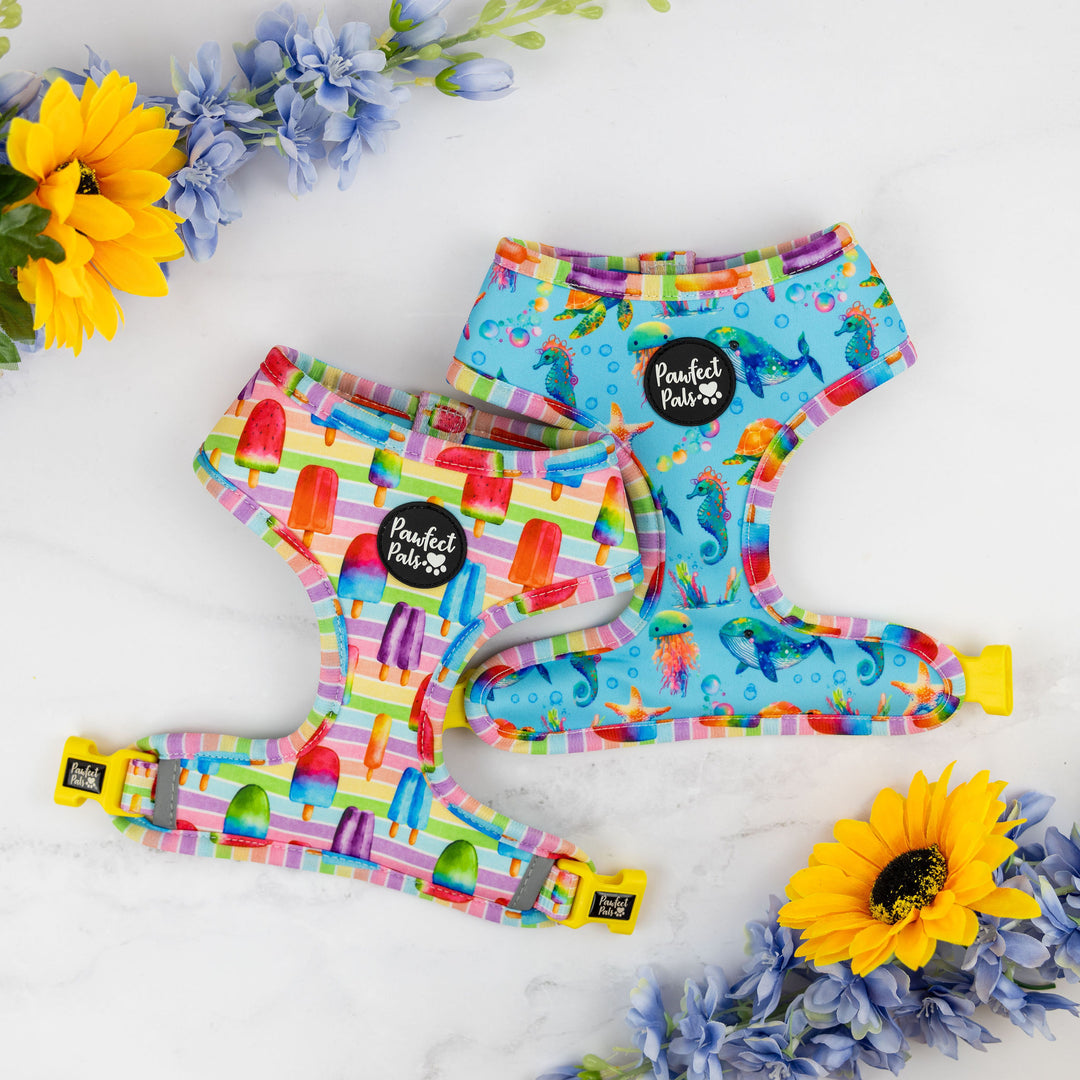Luxurious and Affordable Dog Accessories | Pawfect Pals