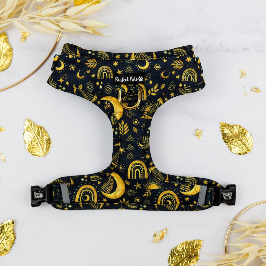 Luxurious and Affordable Dog Accessories | Pawfect Pals