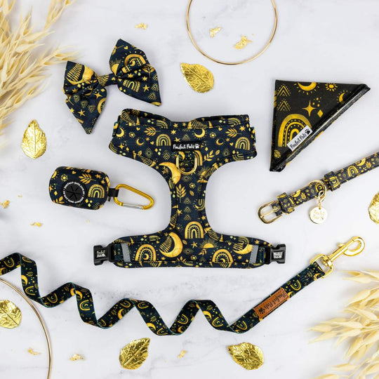 Luxurious and Affordable Dog Accessories | Pawfect Pals