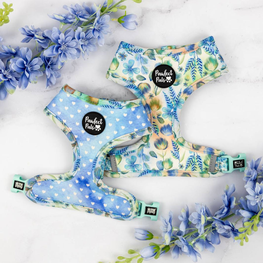 Dog Harnesses | Afterpay Available | Pawfect Pals