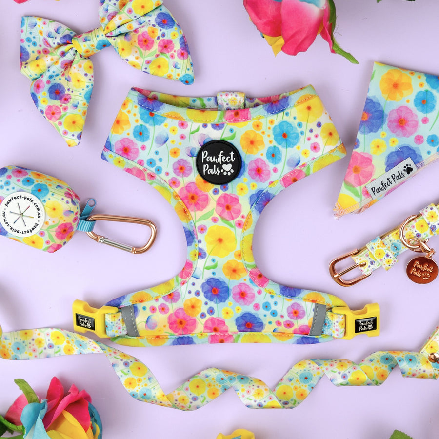 Luxurious and Affordable Dog Accessories | Pawfect Pals