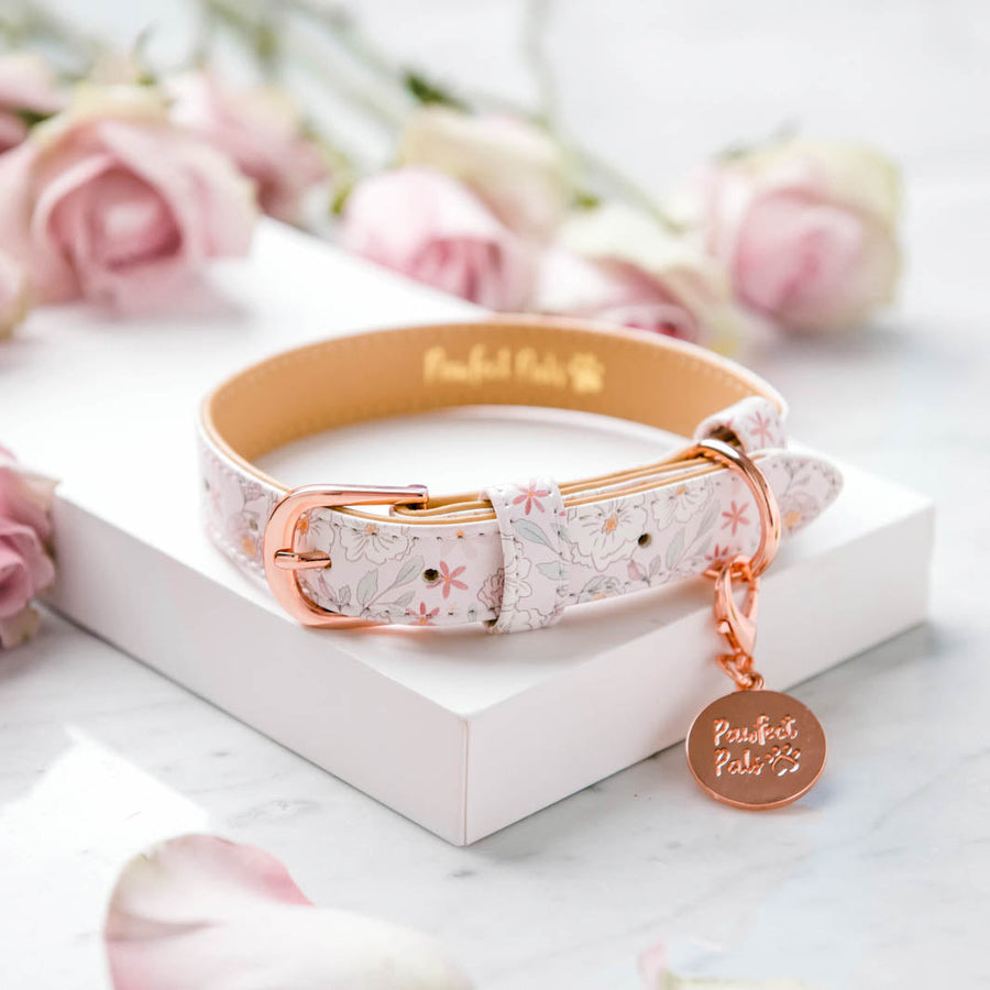 Dog Collars | Afterpay Available | Pawfect Pals