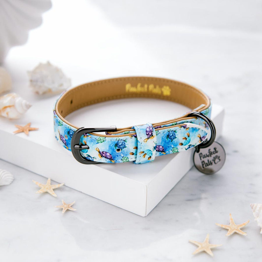 Dog Collars | Afterpay Available | Pawfect Pals