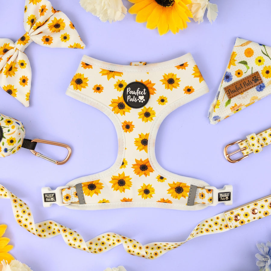 Luxurious and Affordable Dog Accessories | Pawfect Pals