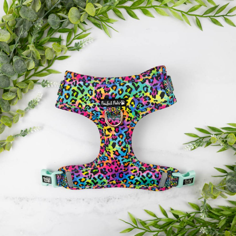 Dog Harnesses | Afterpay Available | Pawfect Pals